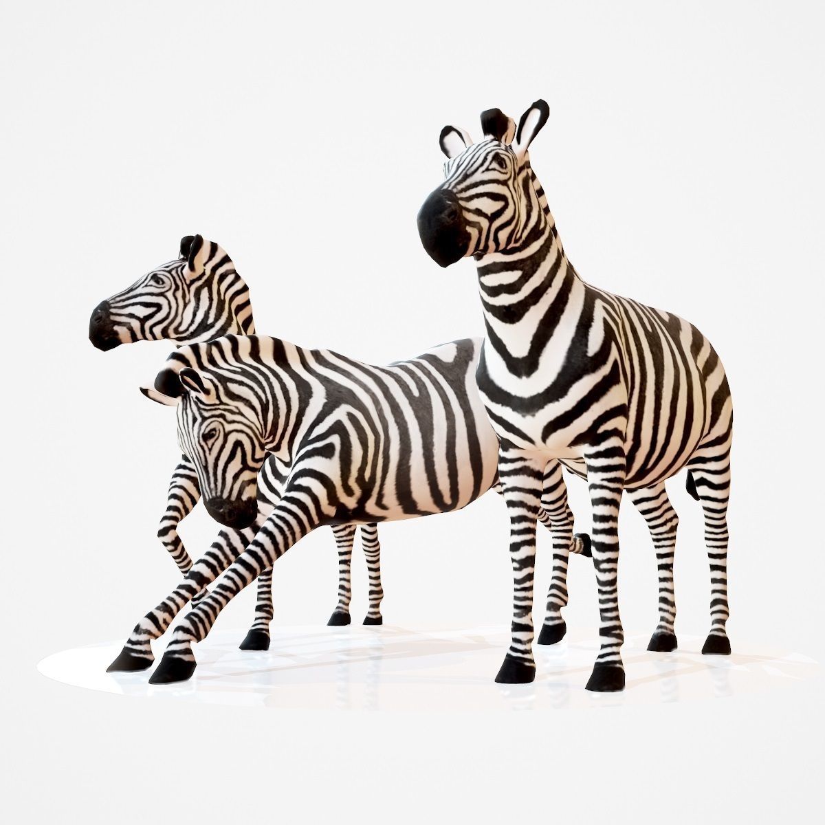 3D model Zebra Rigged VR / AR / low-poly rigged | CGTrader