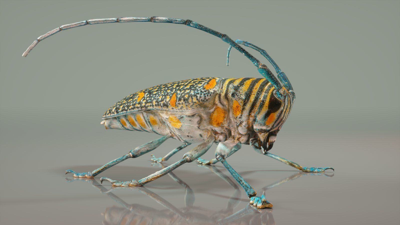 3D model Insect Master Collection VR / AR / low-poly | CGTrader