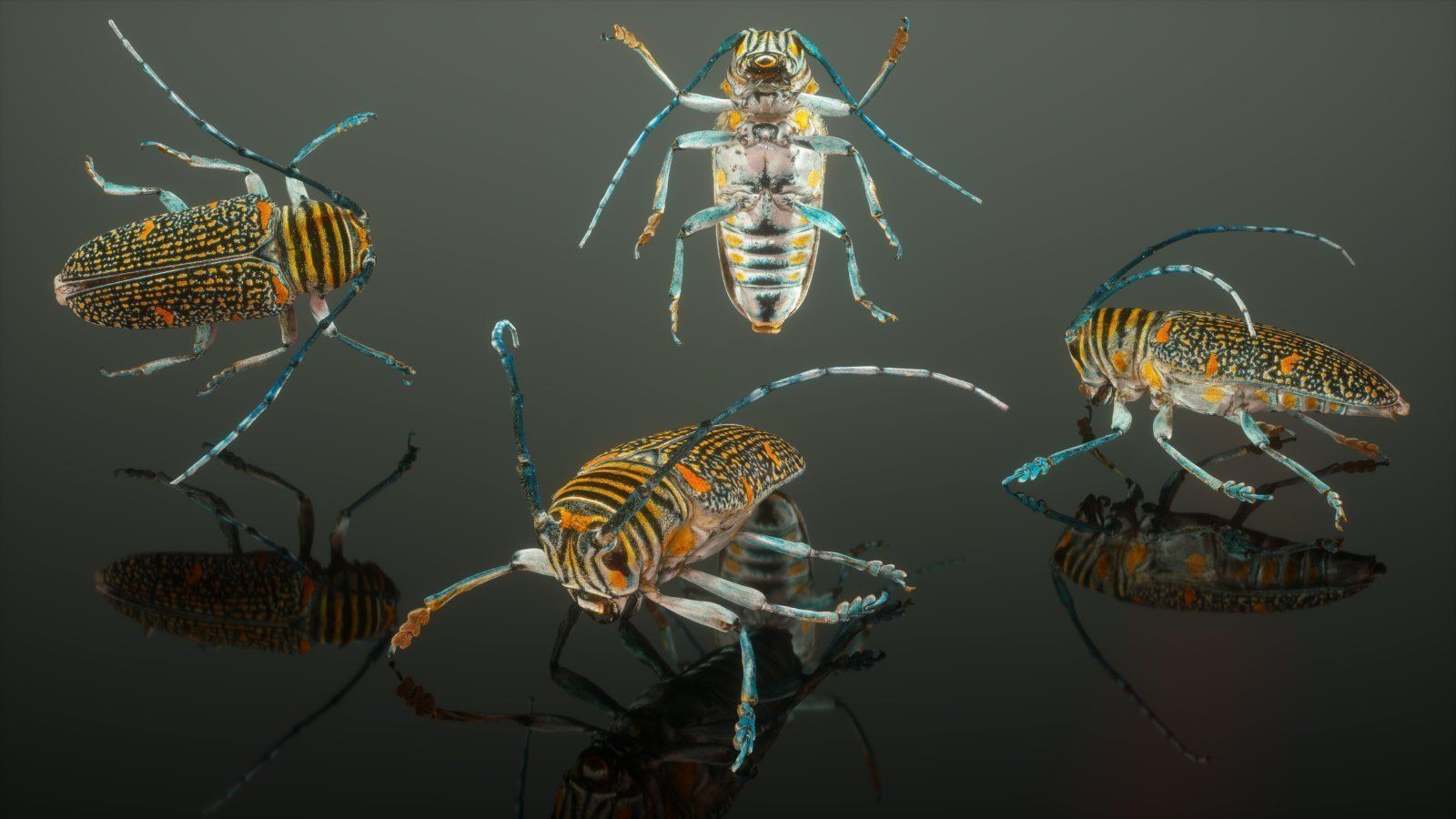3D model Insect Master Collection VR / AR / low-poly | CGTrader