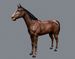 Mammal 3D Models | Download 3D Mammal files - CGTrader.com