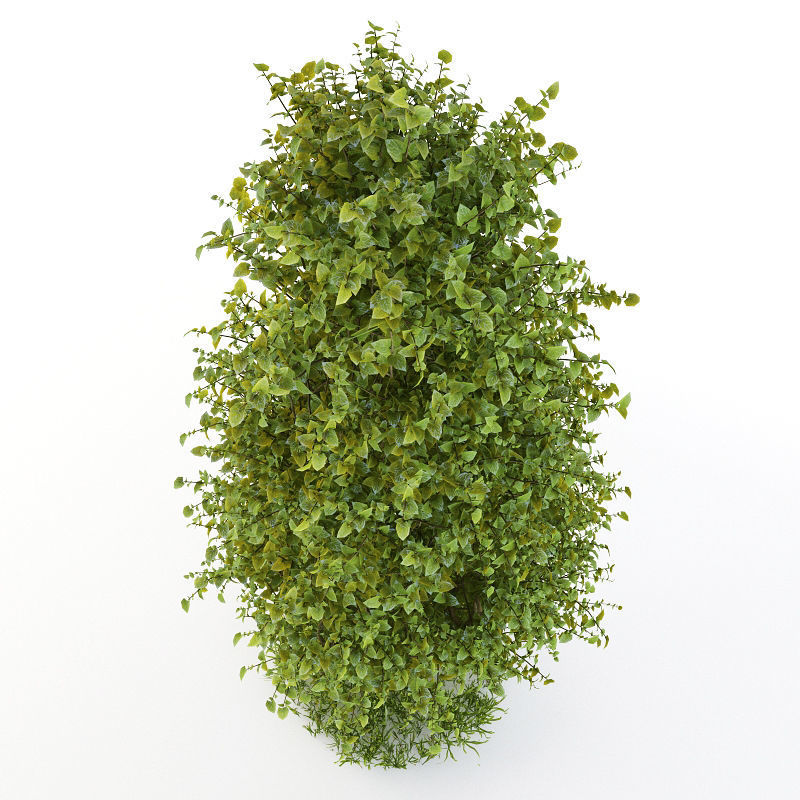 Conical bush 3D model | CGTrader