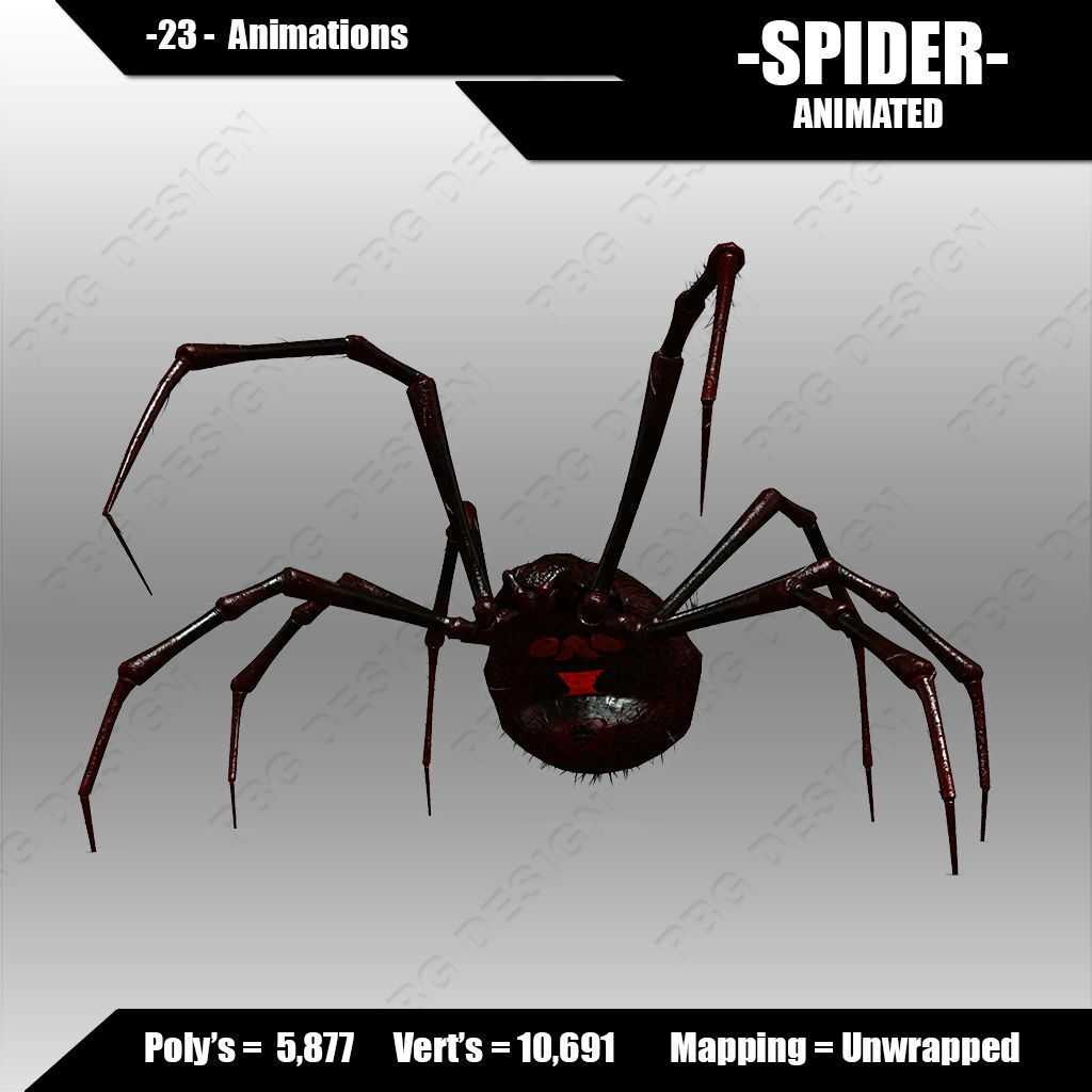 Spider animated 3D model animated rigged | CGTrader