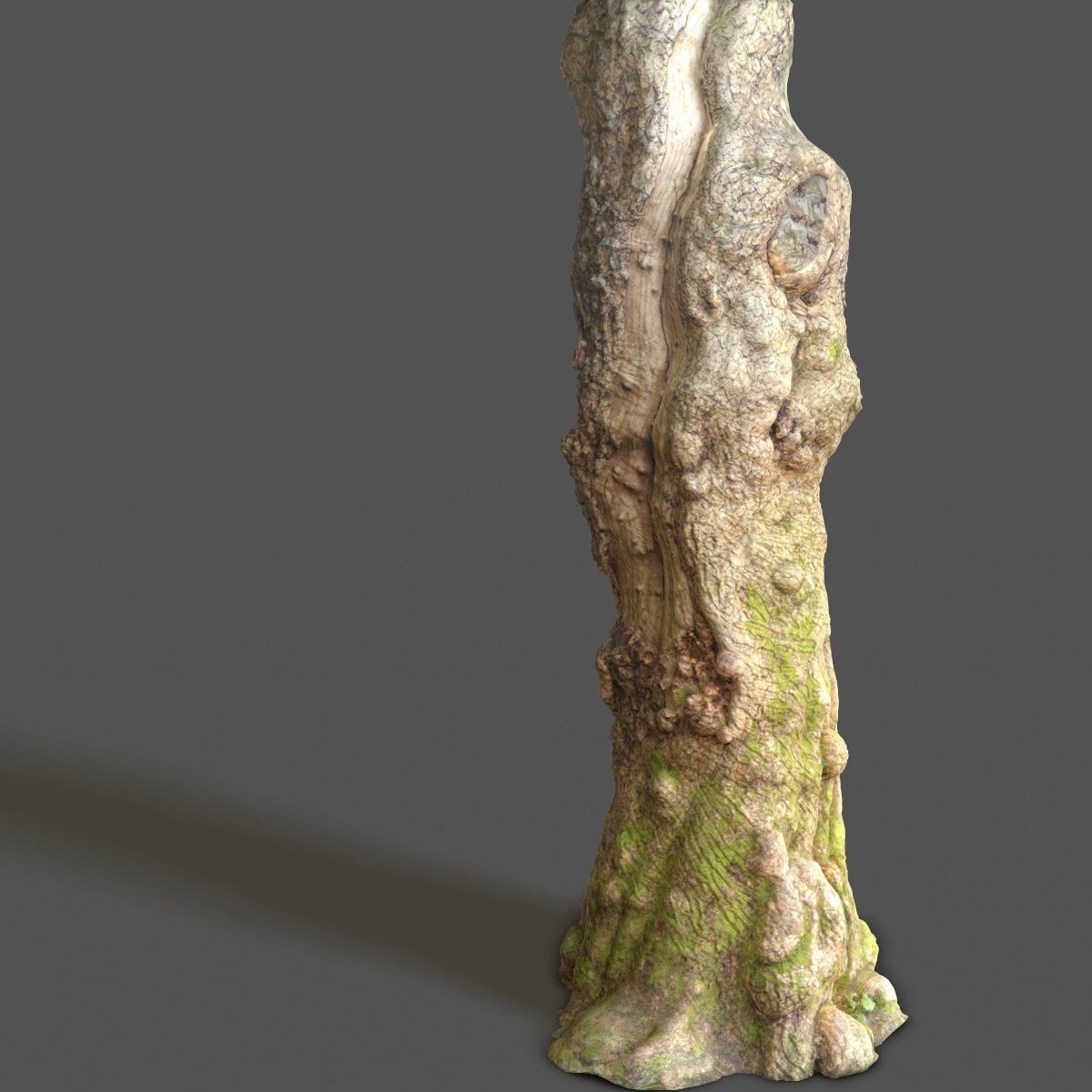 3D model Realistic Tree Model Photorealistic 9 VR / AR / low-poly ...