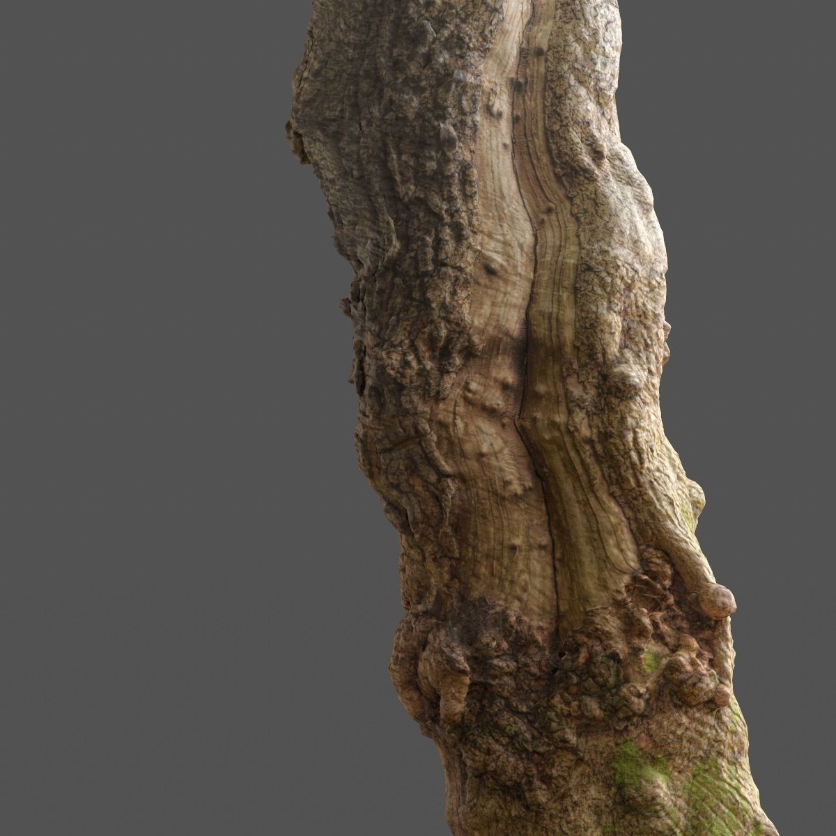 3D model Realistic Tree Model Photorealistic 9 VR / AR / low-poly ...