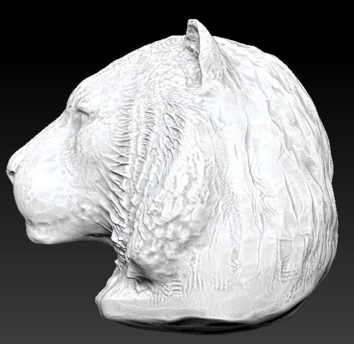tiger 3D print model | CGTrader