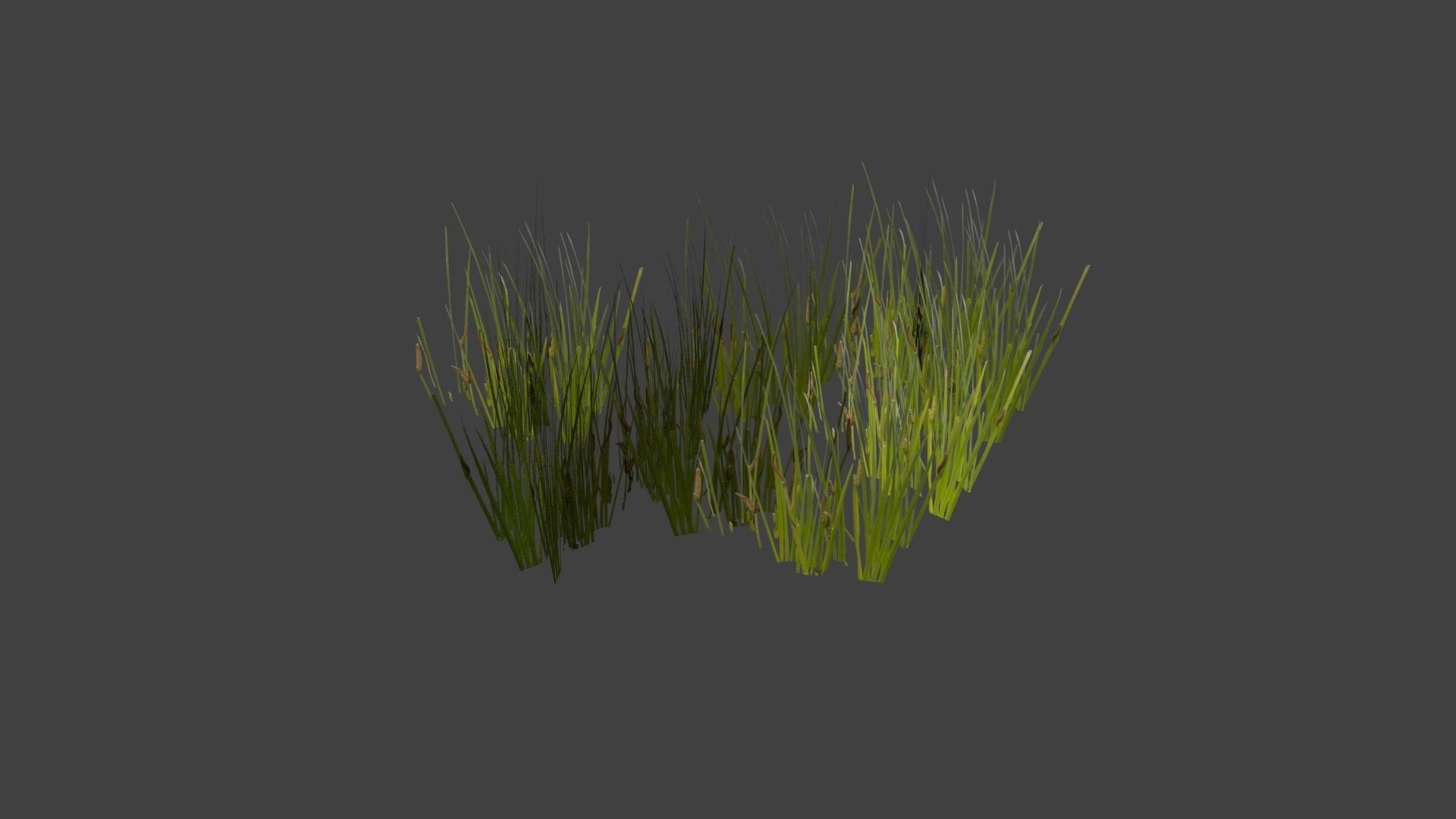 Green Grass Patch free VR / AR / low-poly 3D Model OBJ 3DS FBX BLEND ...