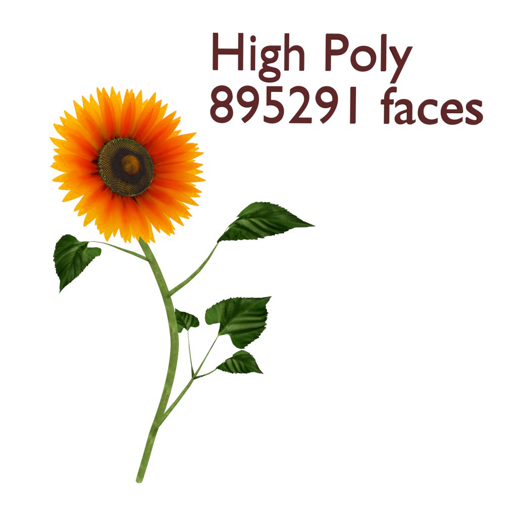 Sunflower 3D model animated rigged | CGTrader