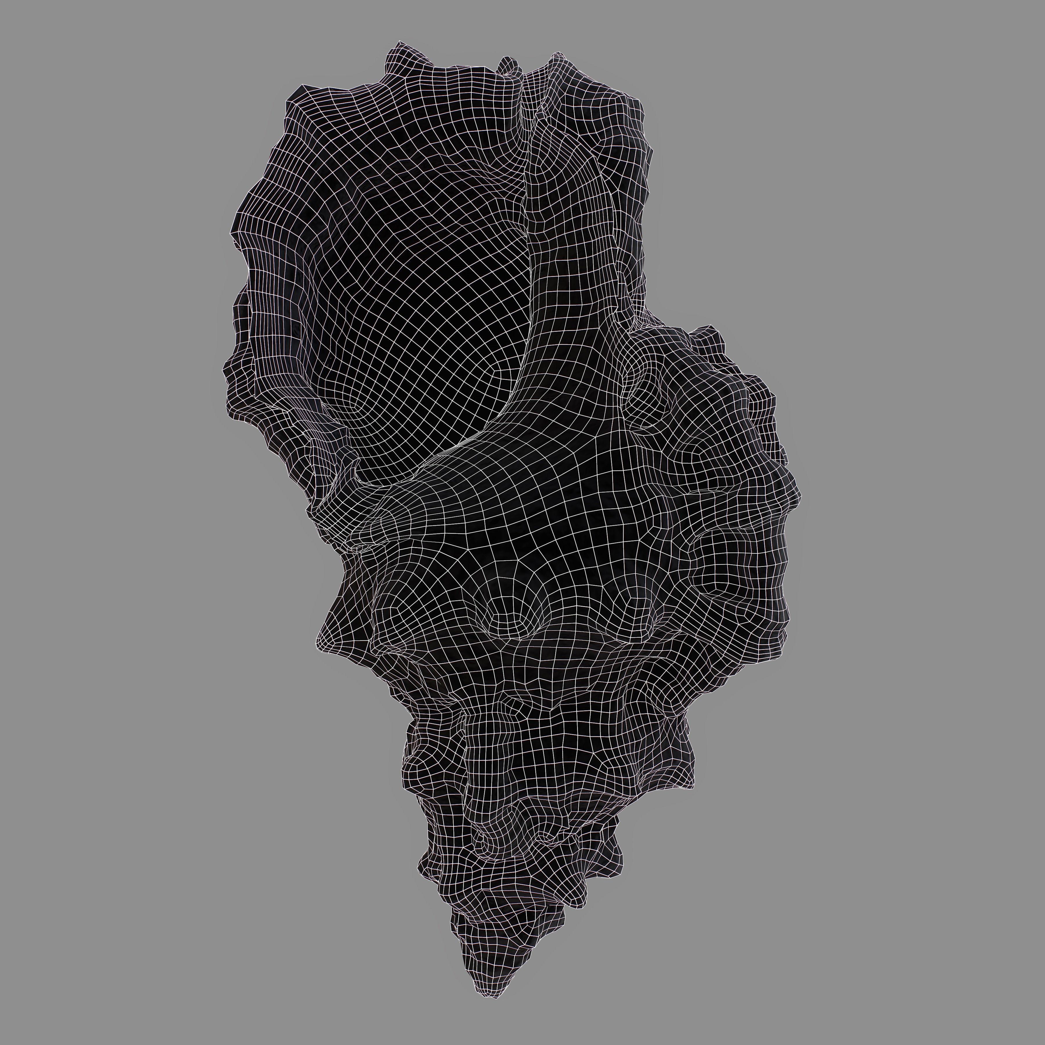 3D model 6 Sea Shell Collection Photorealistic VR / AR / low-poly ...