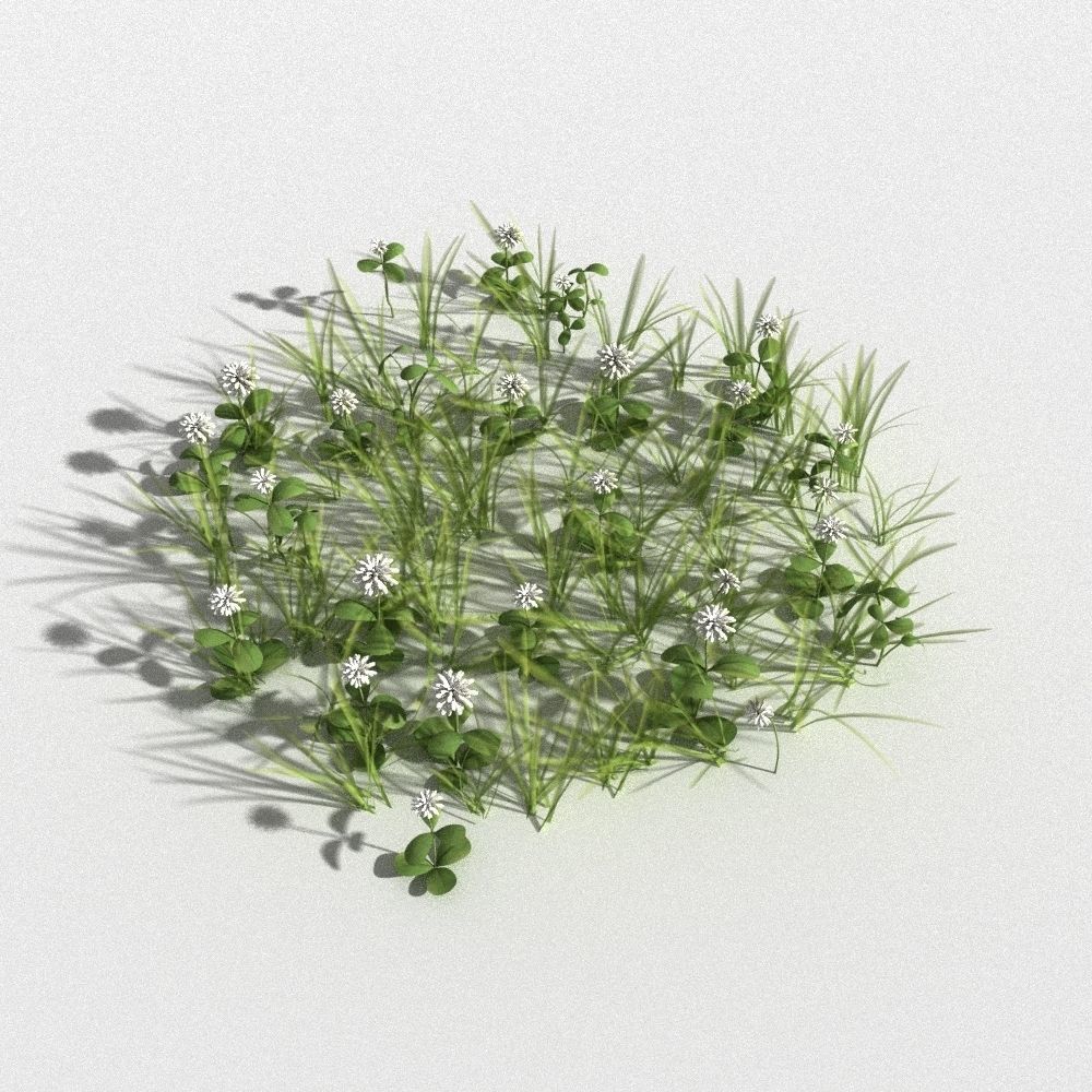 clover collection with gras patches 3D model | CGTrader