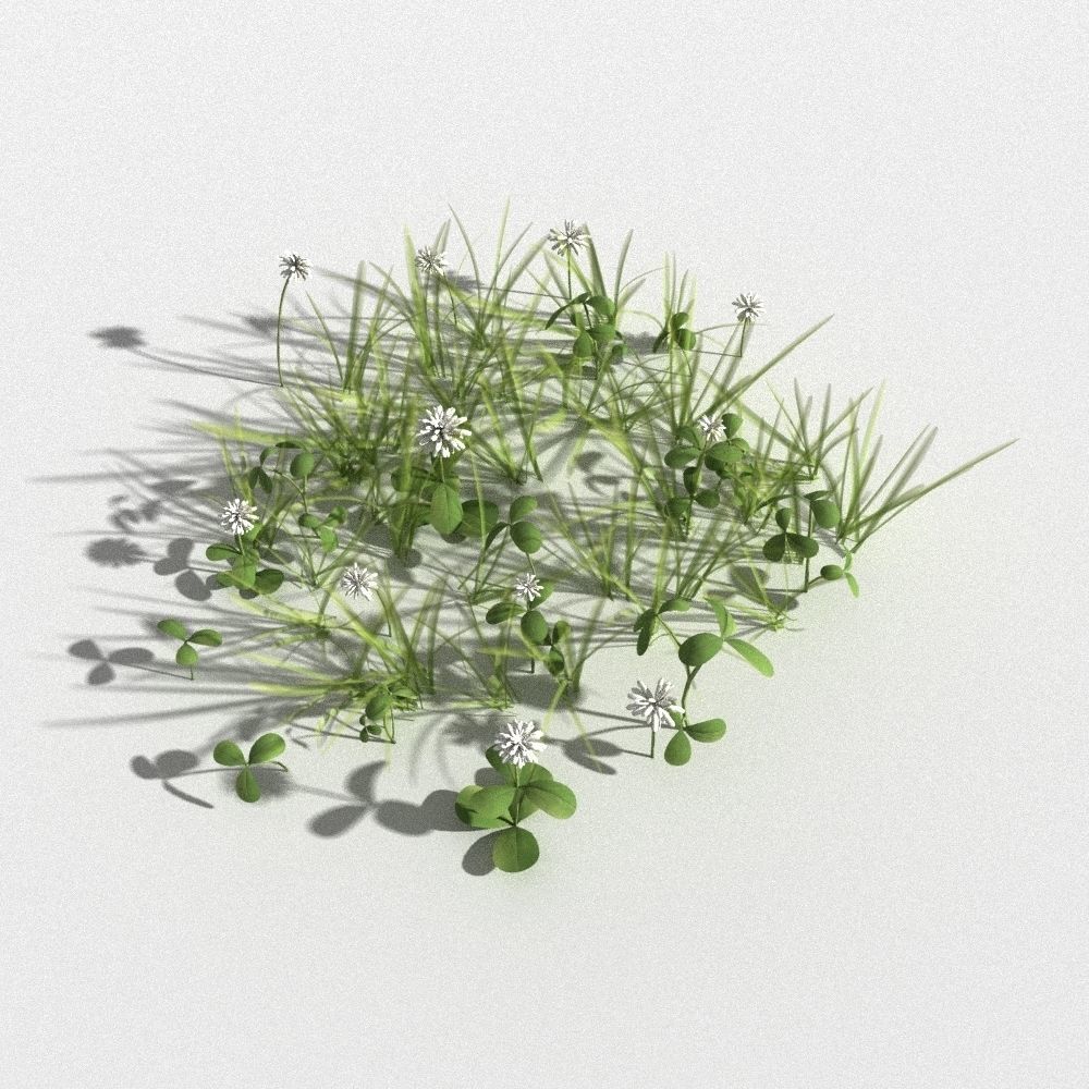 clover collection with gras patches 3D model | CGTrader