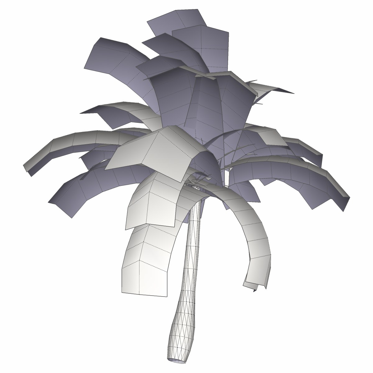 3D model Coconut Palm Tree - 03 med poly VR / AR / low-poly | CGTrader