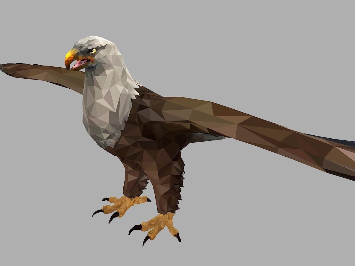 3D asset Bald Eagle Low Polygon Art Bird Animal | CGTrader