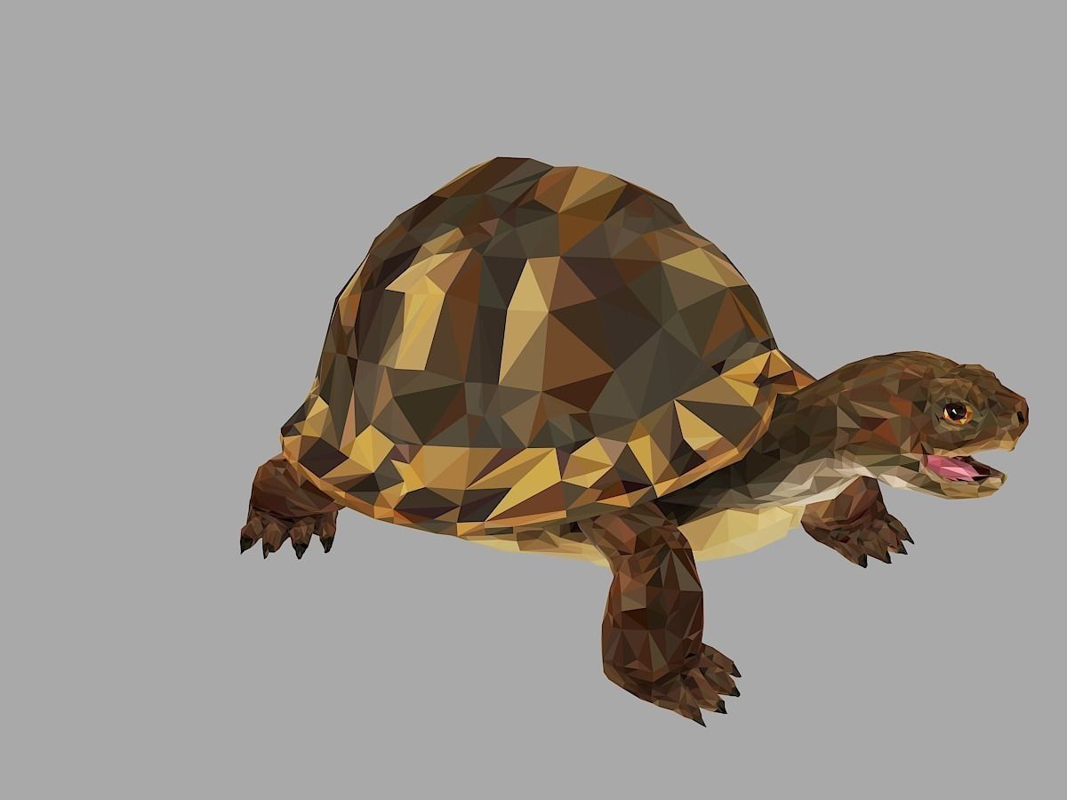 3D model Reptile Turtle Low Polygon Art Animal VR / AR / low-poly ...