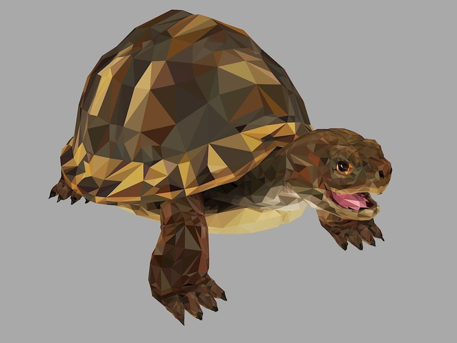 3D model Reptile Turtle Low Polygon Art Animal VR / AR / low-poly ...