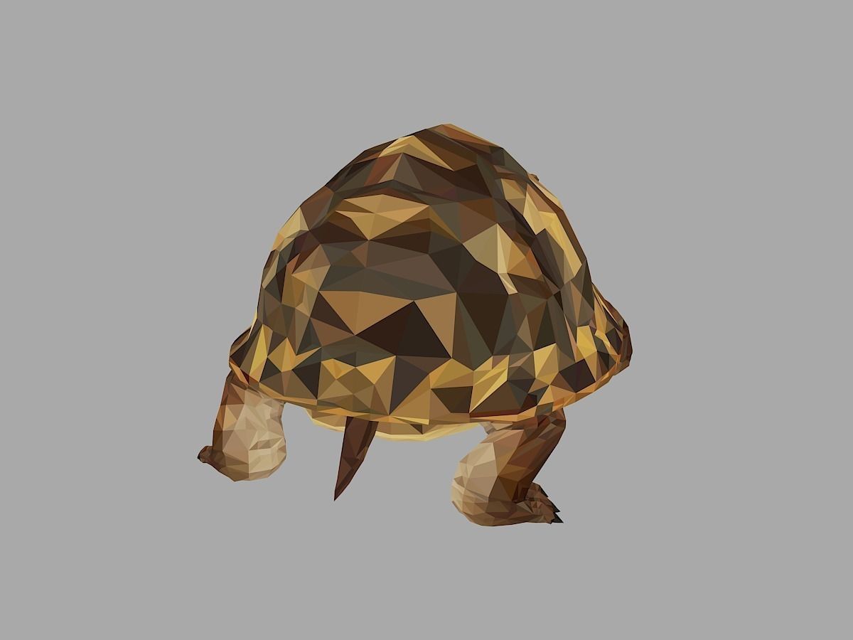 3D model Reptile Turtle Low Polygon Art Animal VR / AR / low-poly ...