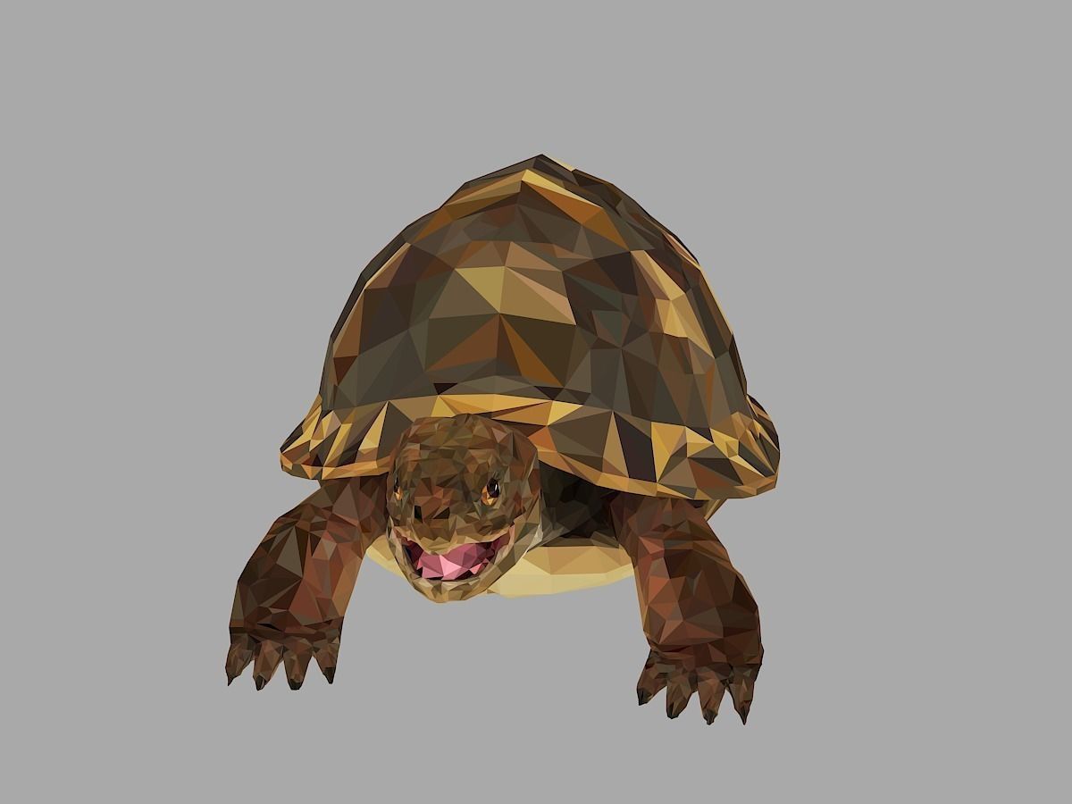3D model Reptile Turtle Low Polygon Art Animal VR / AR / low-poly ...