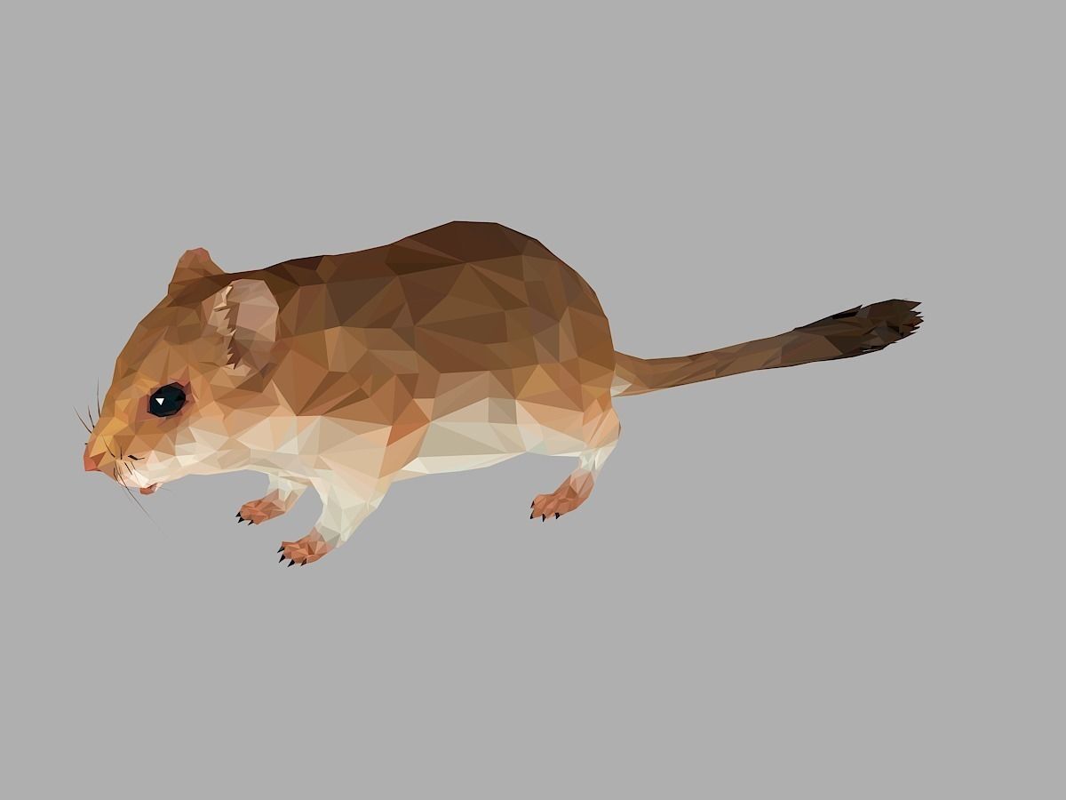 3D model Sand Mouse Low Polygon Art Animal maus VR / AR / low-poly ...