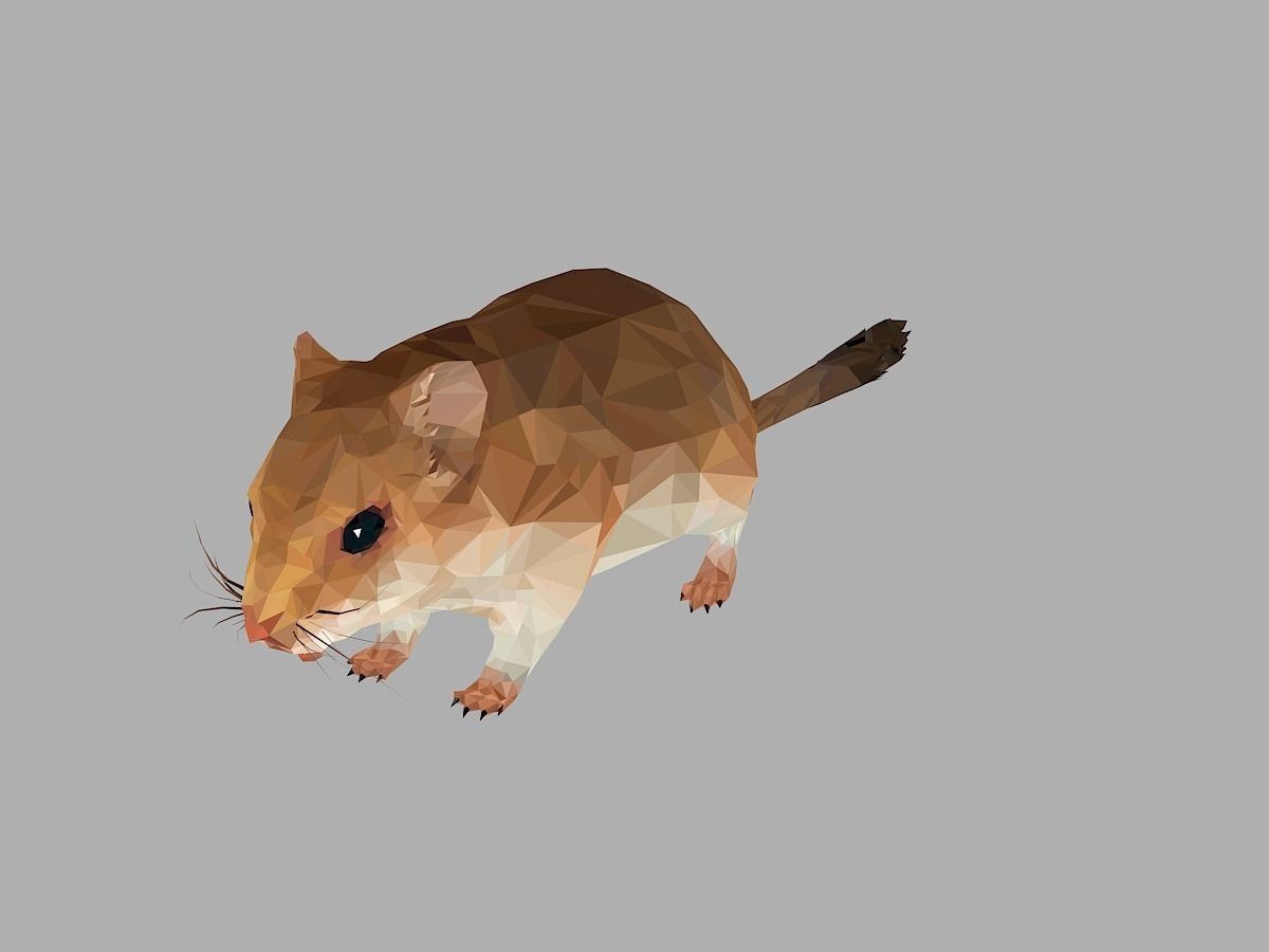 3D model Sand Mouse Low Polygon Art Animal maus VR / AR / low-poly ...