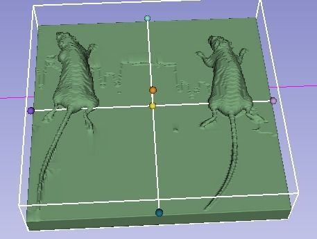 Real mouse CT STL file 3D model 3D printable | CGTrader