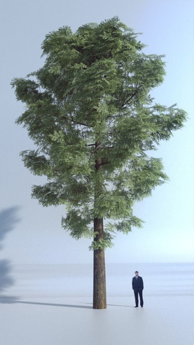 Tall tree 3D model | CGTrader