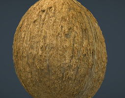 Coconut 3D Models | CGTrader