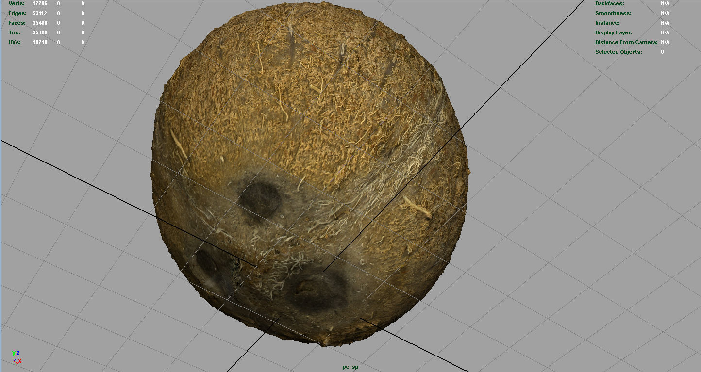 3D model Coconut VR / AR / low-poly | CGTrader