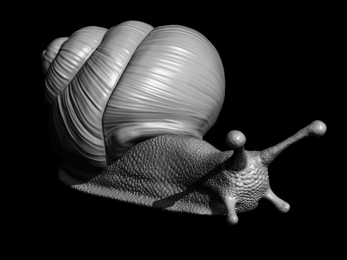 Snail 3D printable 3D model 3D printable | CGTrader