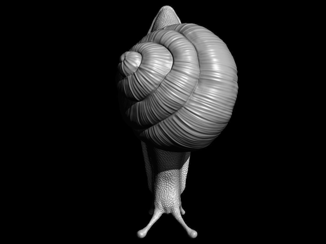 Snail 3D printable 3D model 3D printable | CGTrader