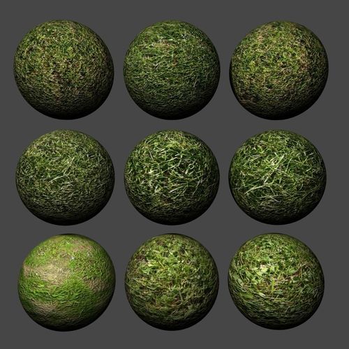 Ground Grass Pack 1 Texture | CGTrader