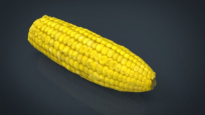 3D model Ear of Corn VR / AR / low-poly | CGTrader