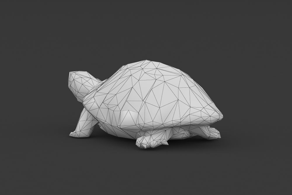 3D model Low Poly Turtle Tortoise VR / AR / low-poly | CGTrader