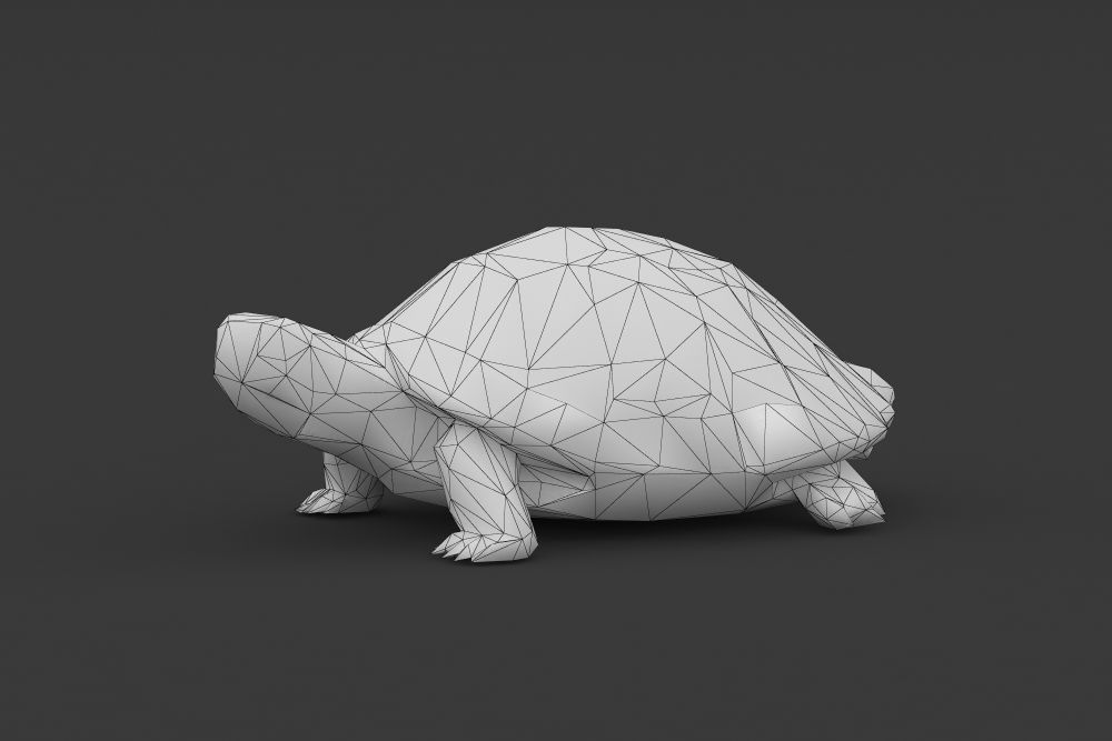 3D model Low Poly Turtle Tortoise VR / AR / low-poly | CGTrader