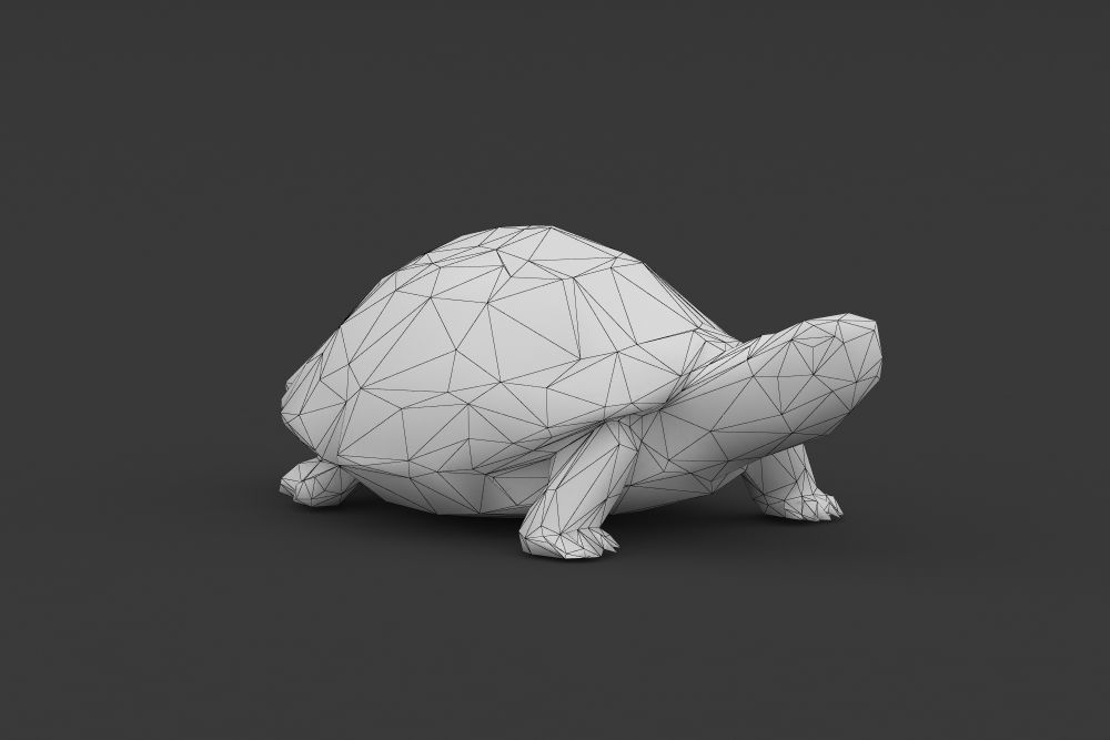 3D model Low Poly Turtle Tortoise VR / AR / low-poly | CGTrader