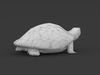 3D model Low Poly Turtle Tortoise VR / AR / low-poly | CGTrader