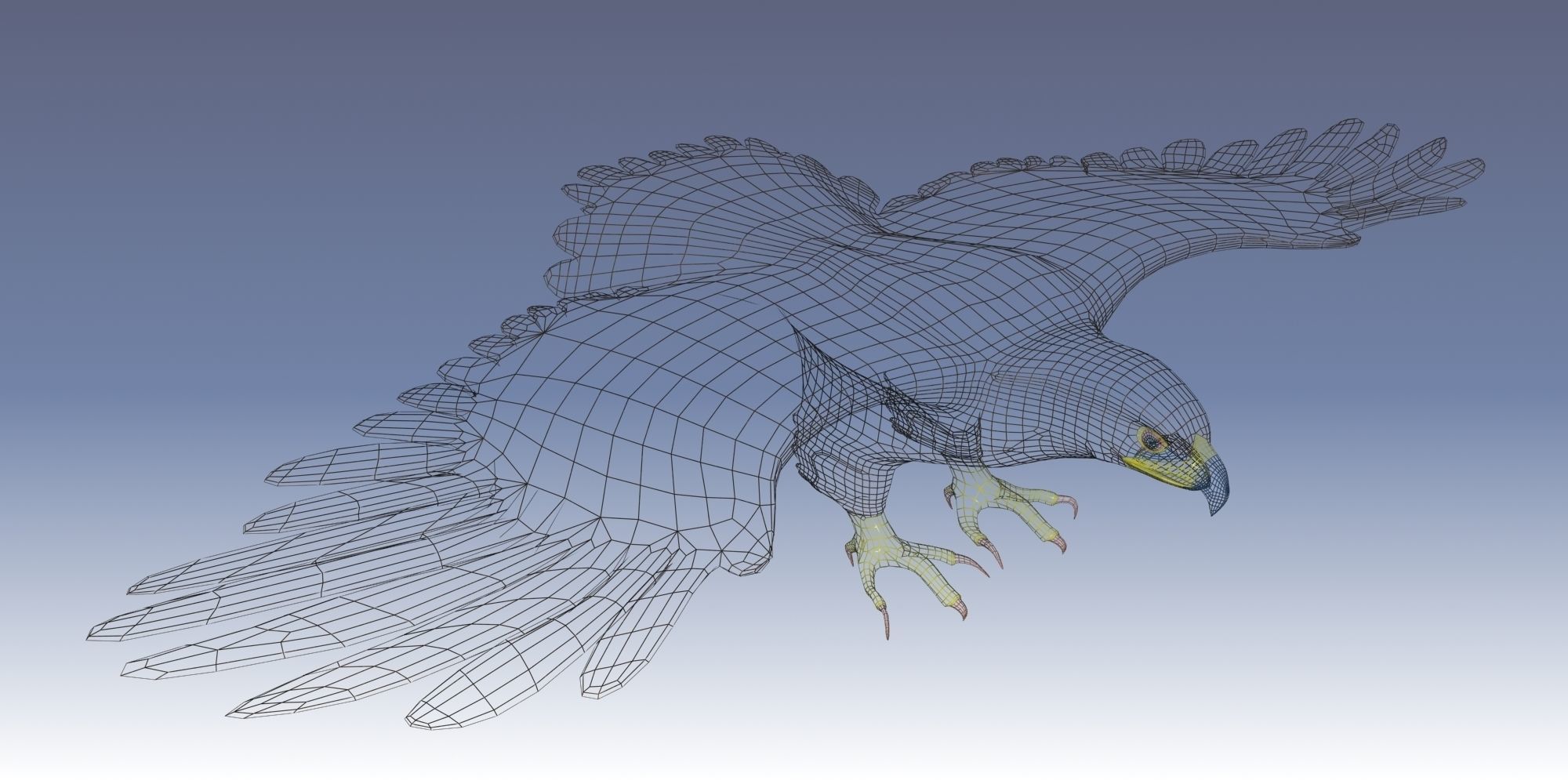 3D model Low Poly Eagle model VR / AR / low-poly | CGTrader