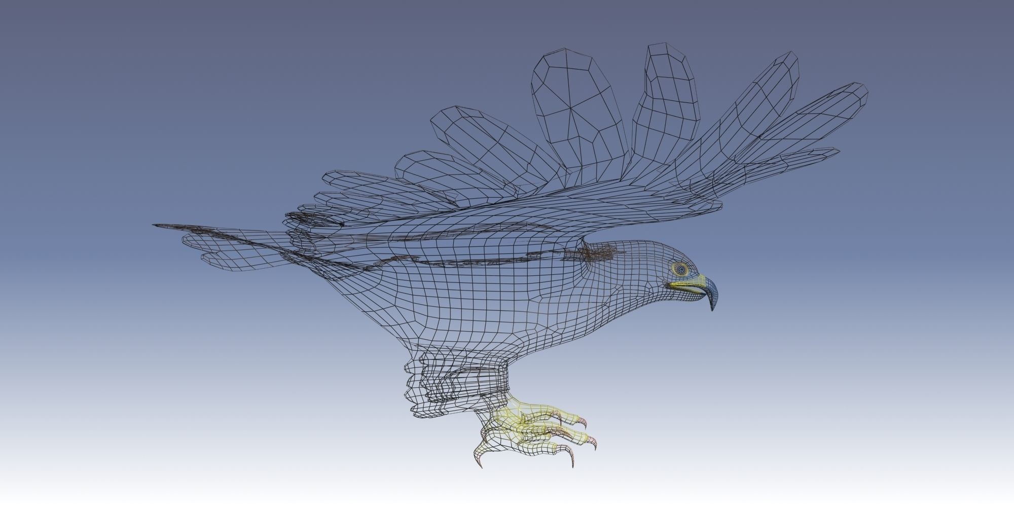 3D model Low Poly Eagle model in flight VR / AR / low-poly | CGTrader