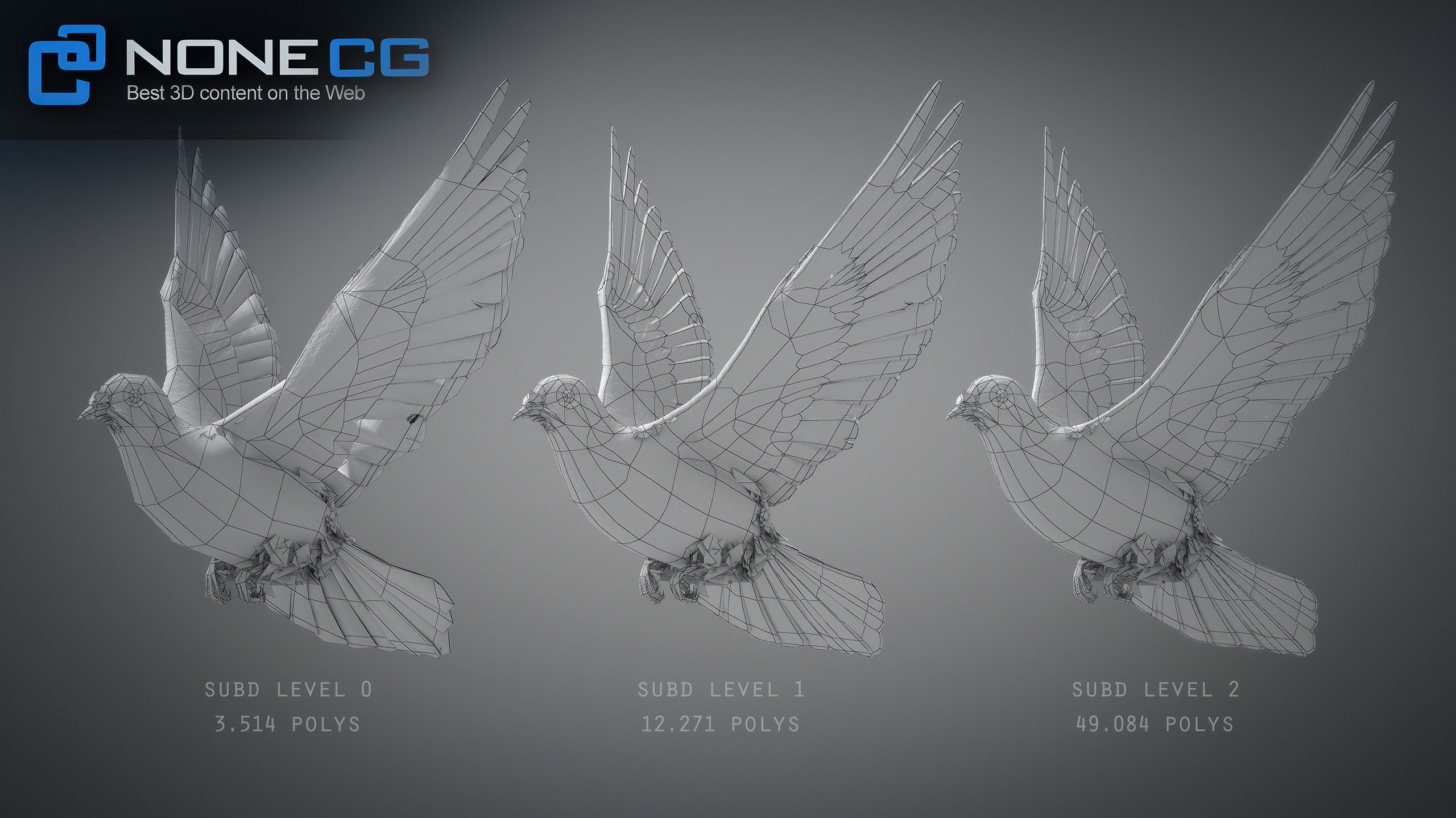 White Dove Animated 3D model animated rigged | CGTrader