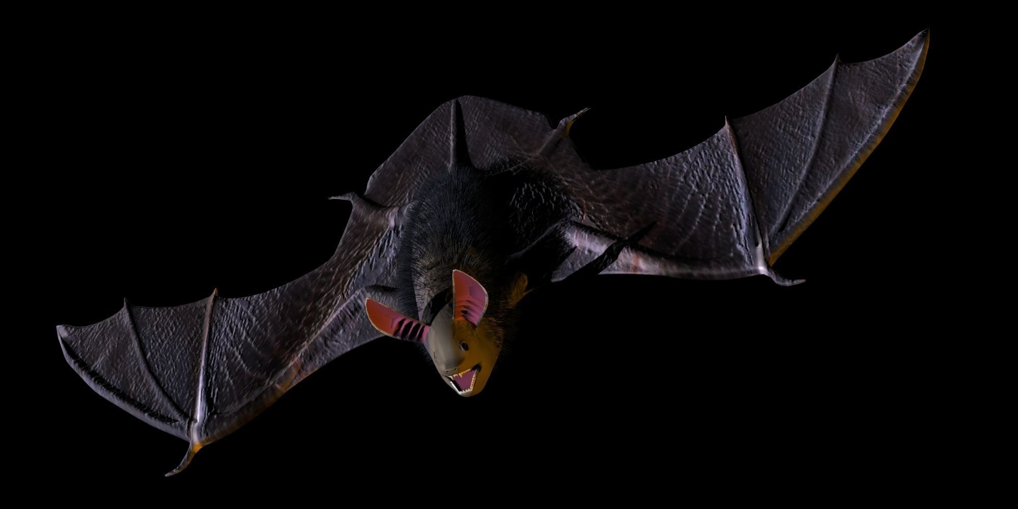 3D Bat model flying 3D model | CGTrader