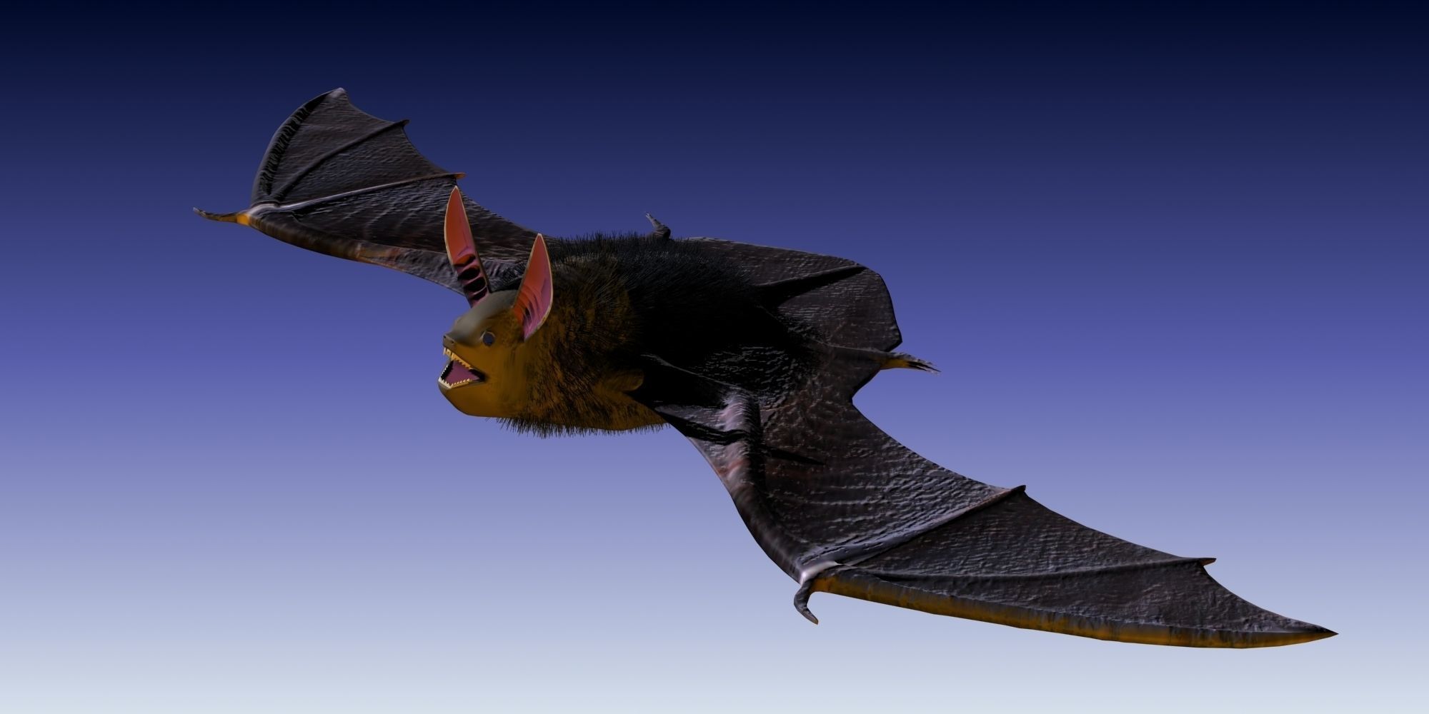 3D Bat model flying 3D model | CGTrader