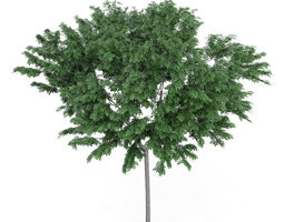 Excelsior 3D Models | CGTrader