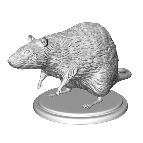rat printable free 3D model 3D printable | CGTrader