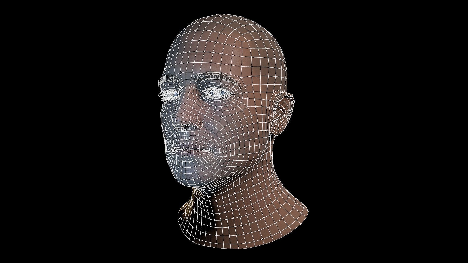 3D model Average Caucasian Male Head VR / AR / low-poly | CGTrader