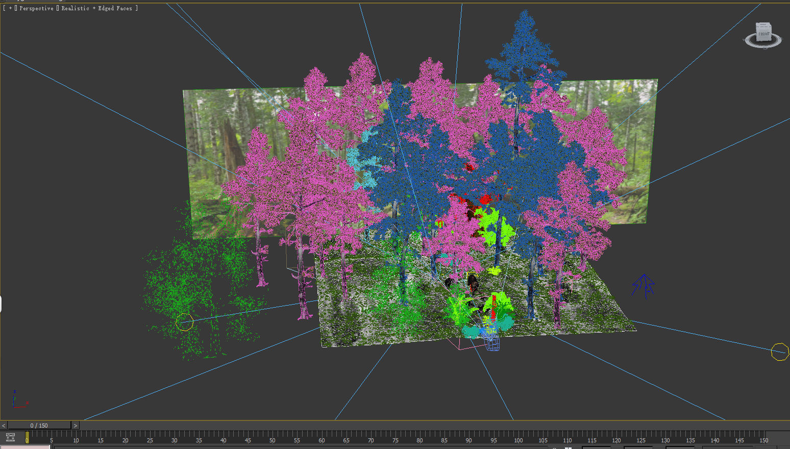 Tiger Forest 3D model animated rigged | CGTrader