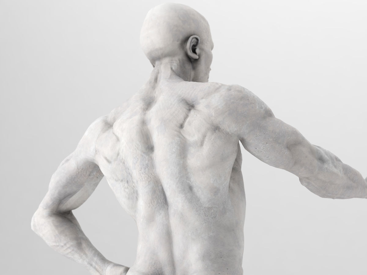 human body free 3D model | CGTrader