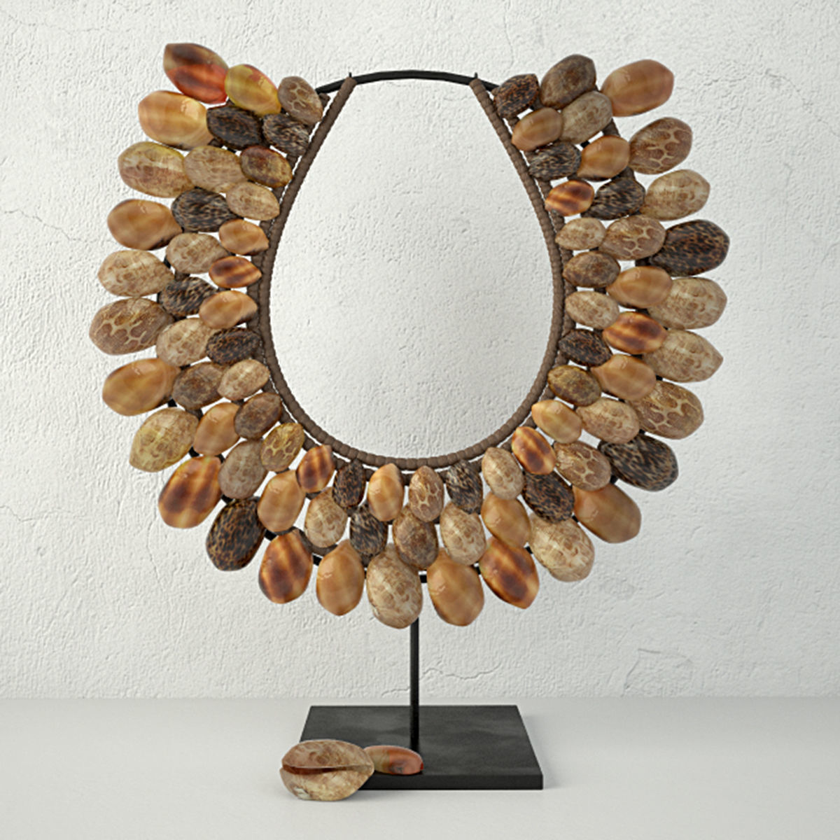 Native shell decor 3D model | CGTrader