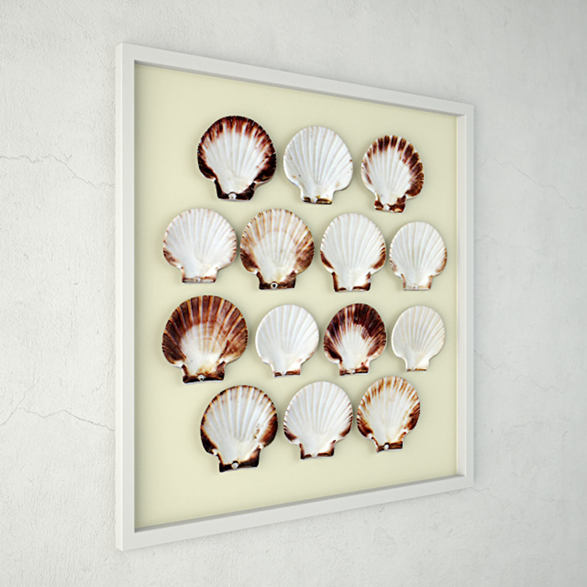 Scallop Shells 3D model | CGTrader