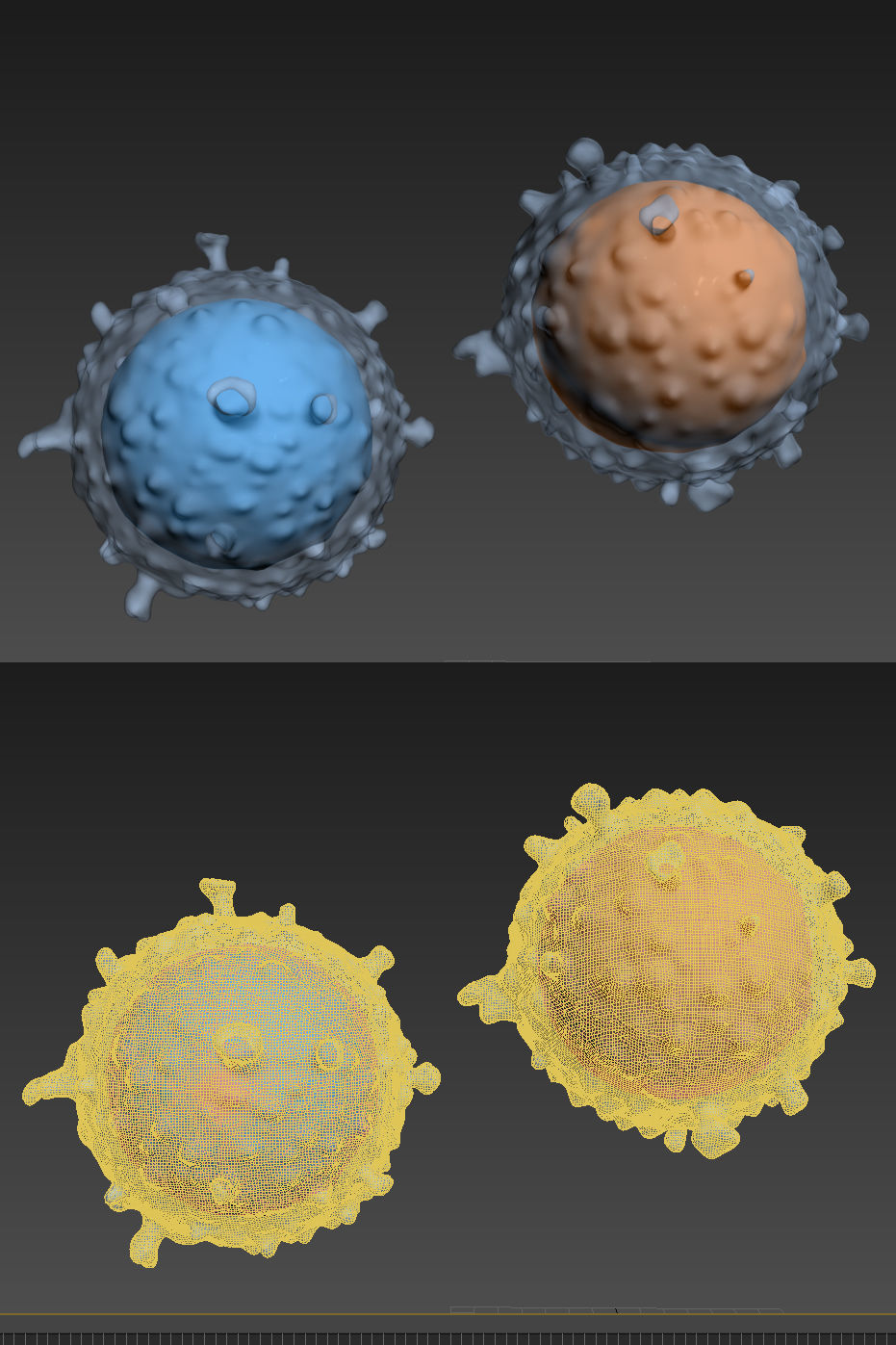 White Blood Cells 3D model | CGTrader