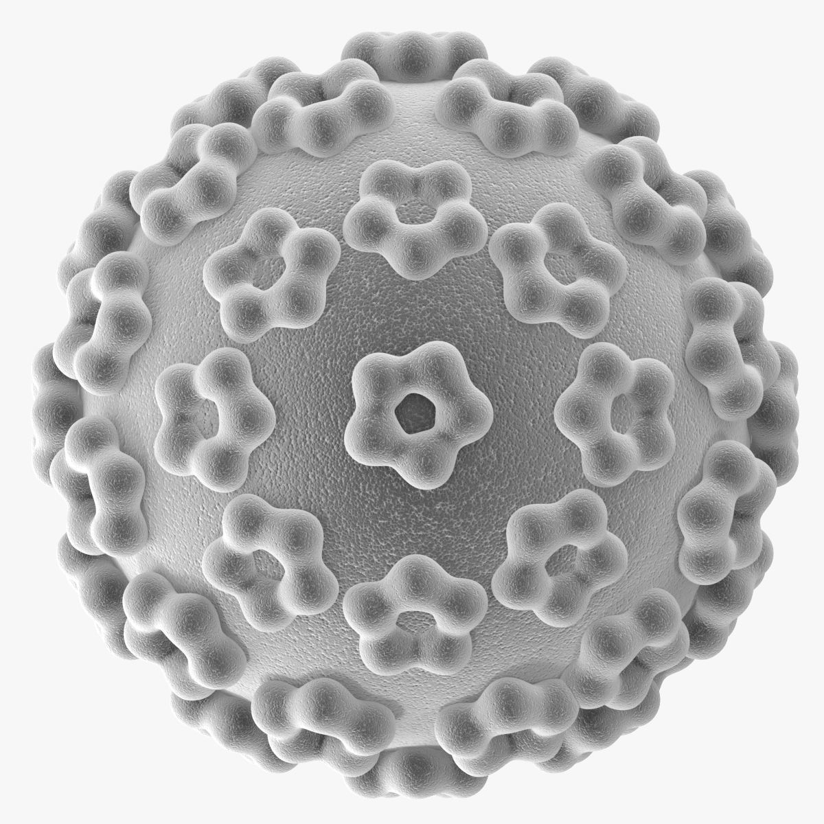 Human Papilloma Virus 3D model | CGTrader