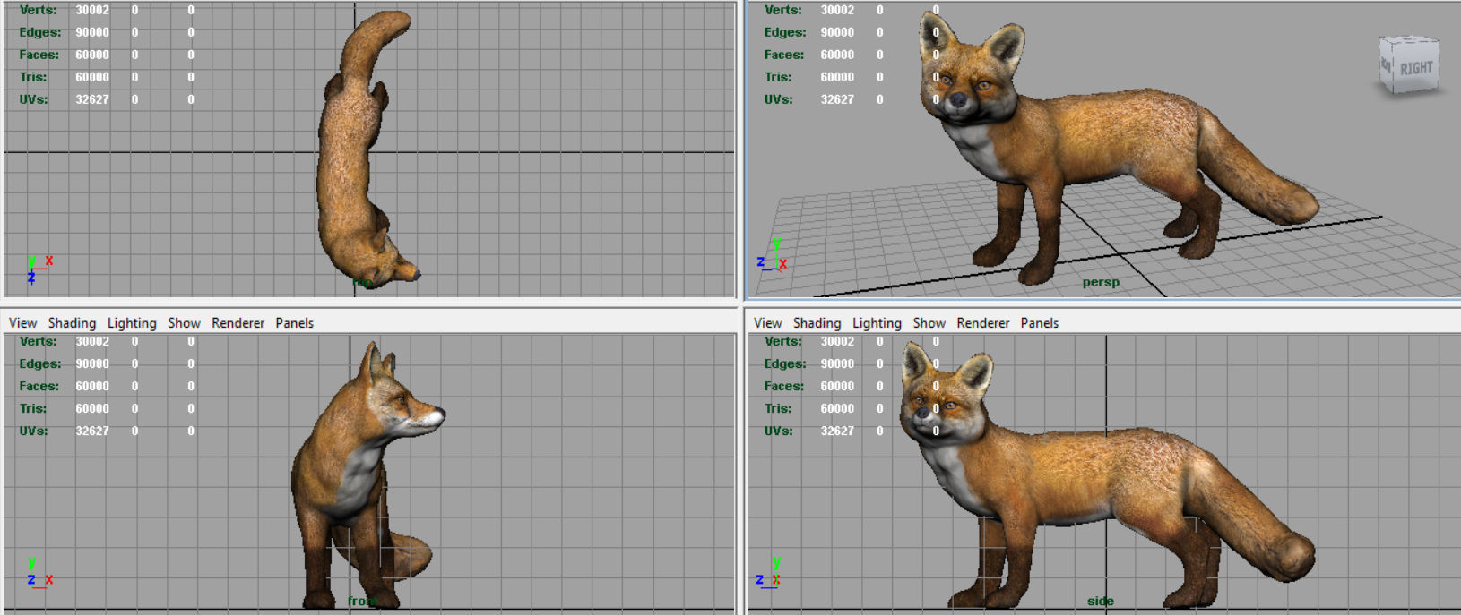 3D model Realistic Fox VR / AR / low-poly | CGTrader