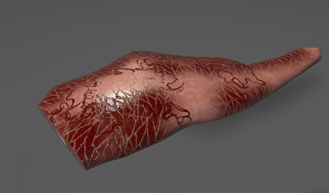 3D model Meat Pieces VR / AR / low-poly | CGTrader
